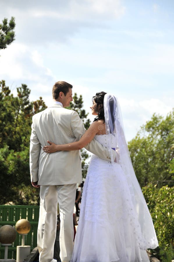 Groom and Bride in Park Background from Back Stock Image - Image of ...