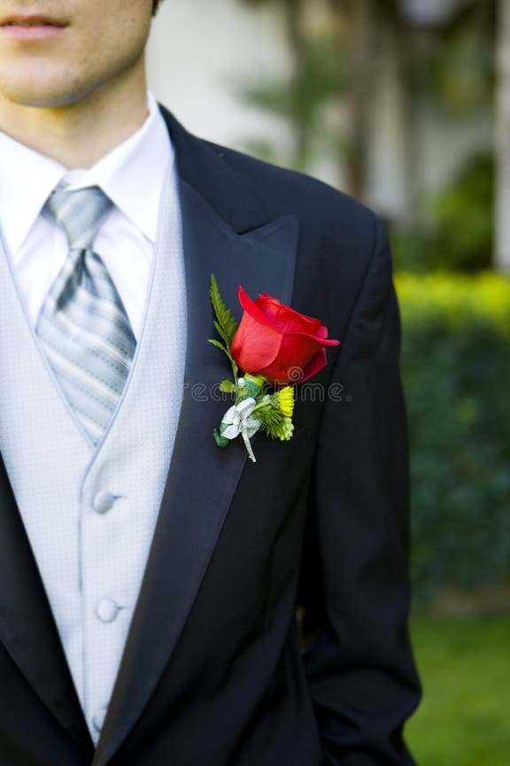 Groom corsage stock image. Image of elegance, happy, corsage - 10493165