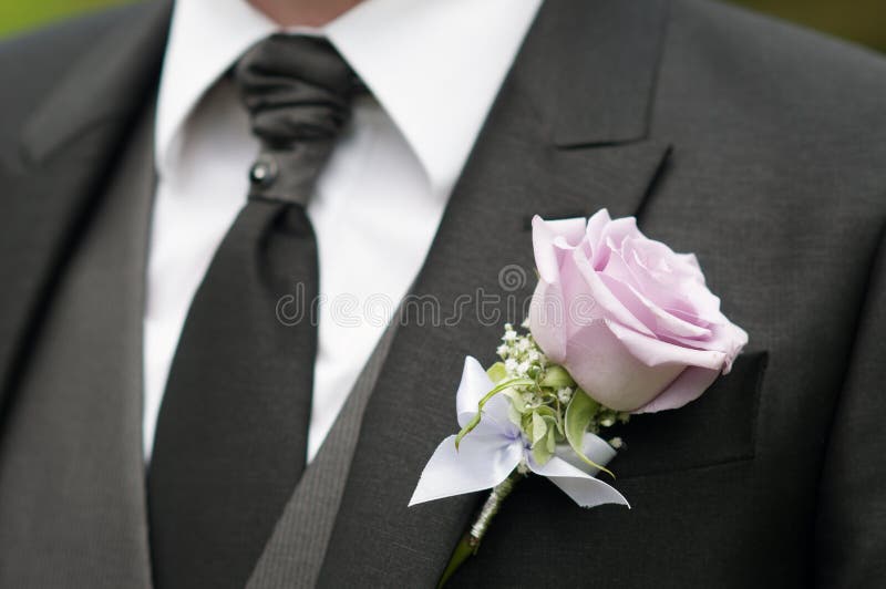 Groom Red Rose Buttonhole Wedding Stock Image - Image of occassion ...