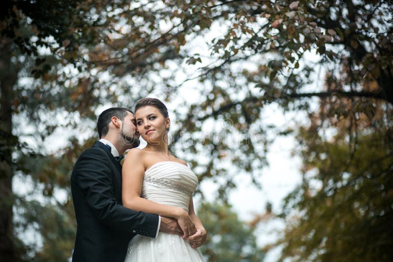 Groom Embracing Bride from Back Stock Image - Image of lovely, love ...