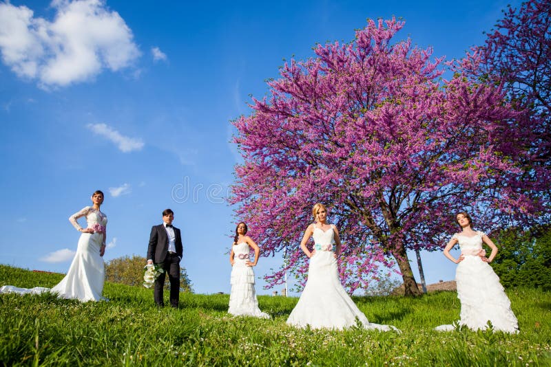 Four Brides Stock Photos - Free & Royalty-Free Stock Photos from Dreamstime