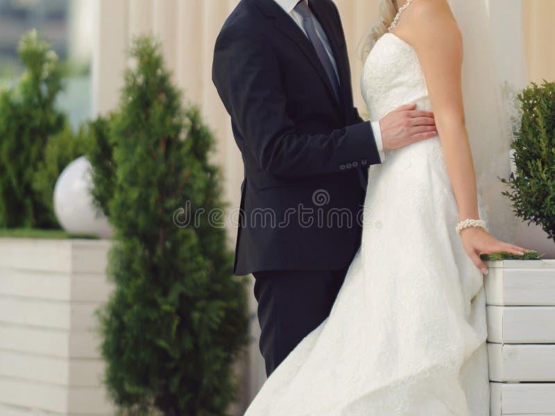 Groom Hugging Bride stock photo. Image of couple, celebrations - 50420318