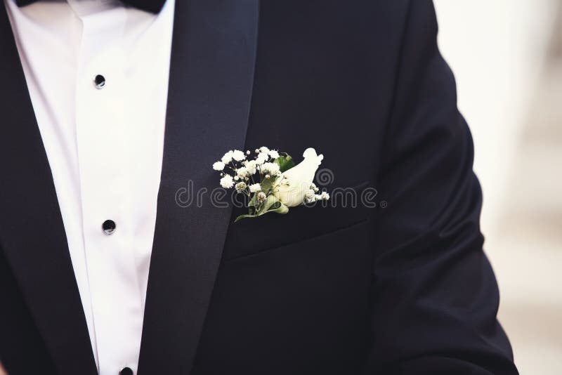 Groom jacket pocket flower stock image. Image of gentleman - 256903073