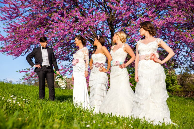 Groom picking a bride stock photo. Image of groom, friendship - 53687966