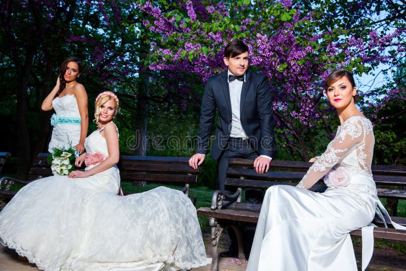 One Groom with Three Brides Stock Image - Image of joke, green: 4346281