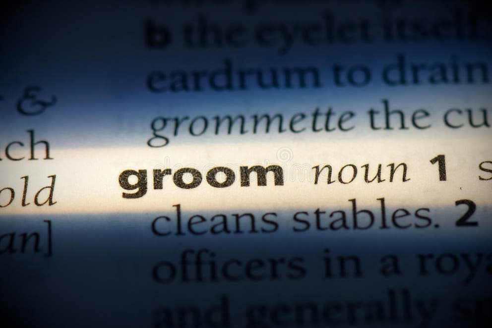 Groom stock photo. Image of focus, word, linguistic - 161576426