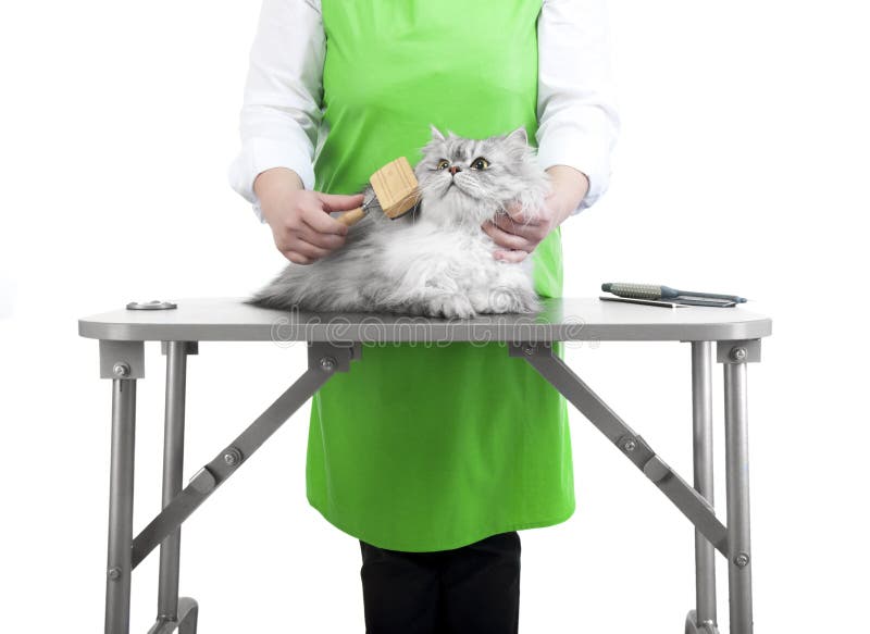 Grooming stock image. Image of hairbrush, table, care - 18622157