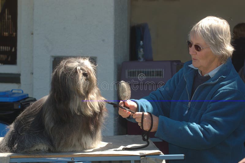 Hairy Serai Pics Stock Photos - Free & Royalty-Free Stock Photos from ...