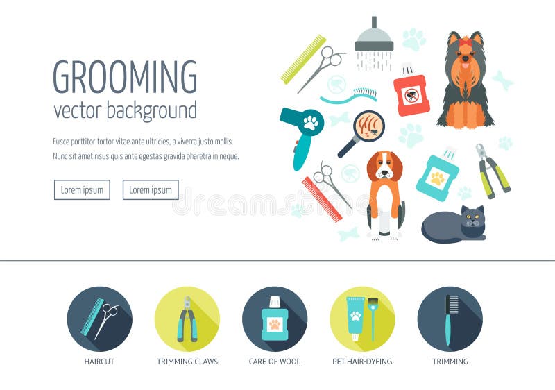Grooming Web Design Concept for Website and Landing Page. Web Banner ...