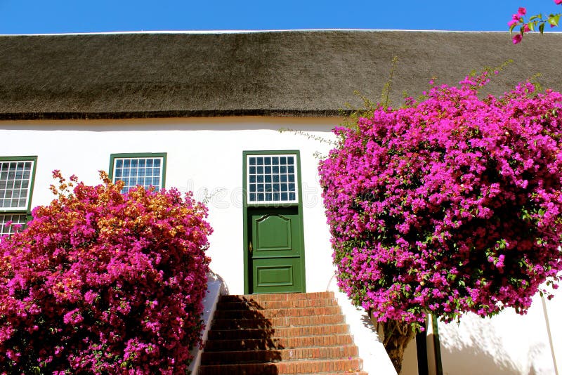 Groot Constantia Wine Estate Stock Photo - Image of shiraz, estate ...