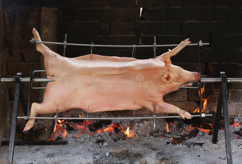 Groot Varken Op Het Spit En Langzaam Gekookt Op De Grote Open Haard ...