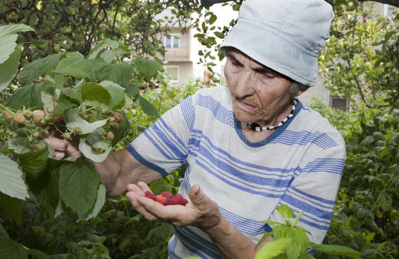 Grootmoeder En in Haar Tuin Stock Afbeelding - Image of tuin, hemel ...