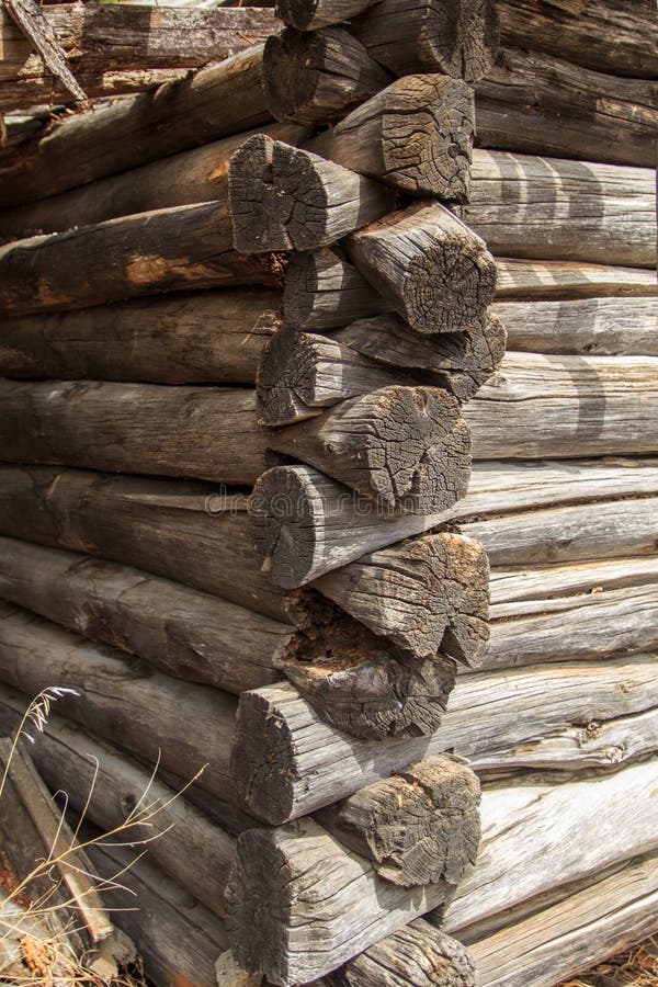 Grooved logs stock photo. Image of intertwined, interlocking - 40981578
