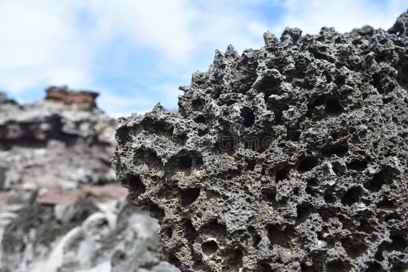 708 Pierre Poreuse Photos libres de droits et gratuites de Dreamstime