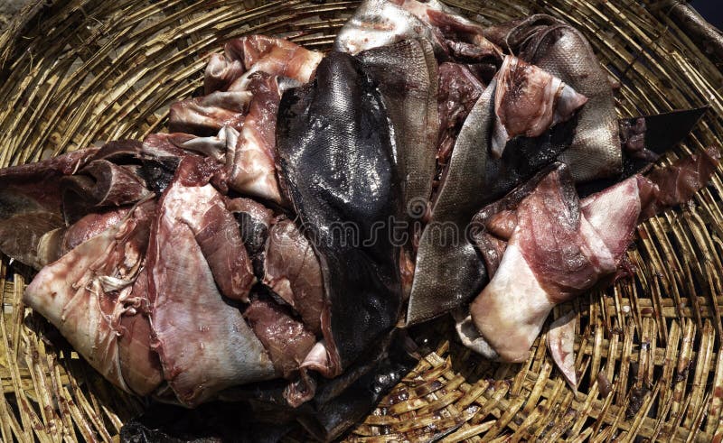 Gros plan du poisson sec image stock. Image du freshwater - 220924571