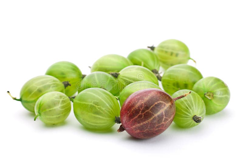 Groseille à Maquereau Verte Photo stock - Image du nourriture, flore ...