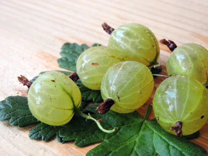 Groseille verte photo stock. Image of nutrition, baie - 42175890