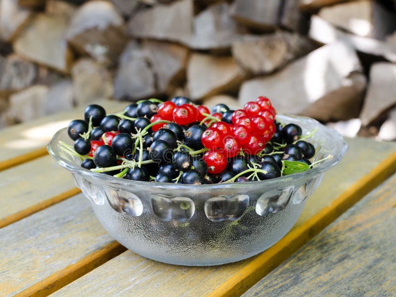 Groseilles Noires Et Rouges Dans Une Cuvette En Verre Photo stock ...