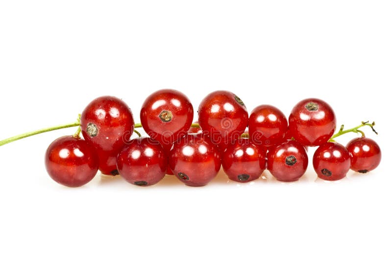 Groseille rouge image stock. Image du couleur, rouge - 10170177