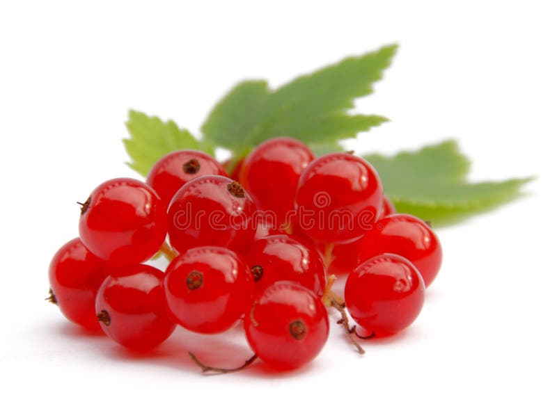 Groseille rouge photo stock. Image du vert, gourmet, mûr - 10395064