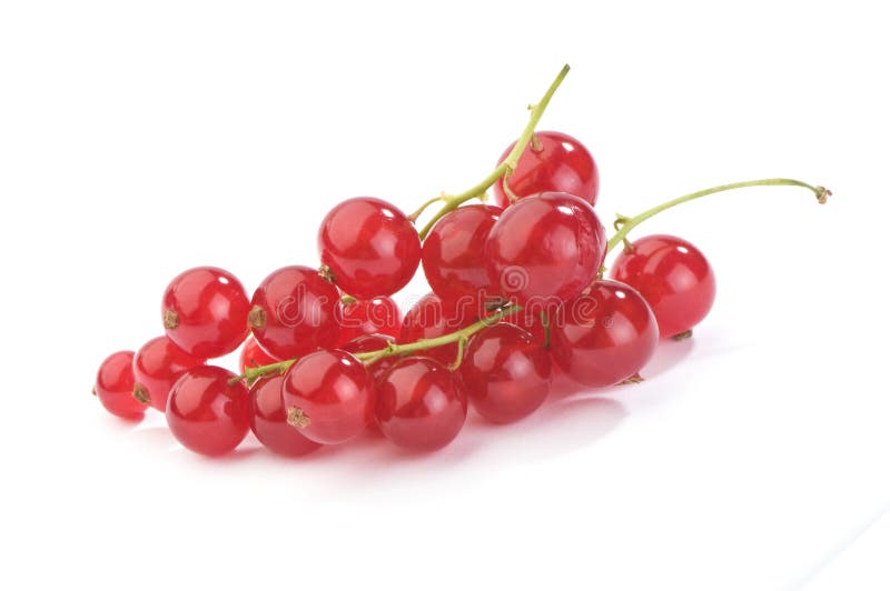 Groseille rouge image stock. Image du rouge, nature, sain - 13652669