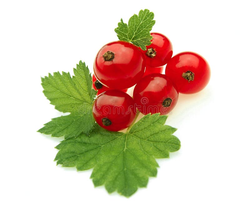 Groseille rouge image stock. Image du lame, boisson, vivacité - 16880117