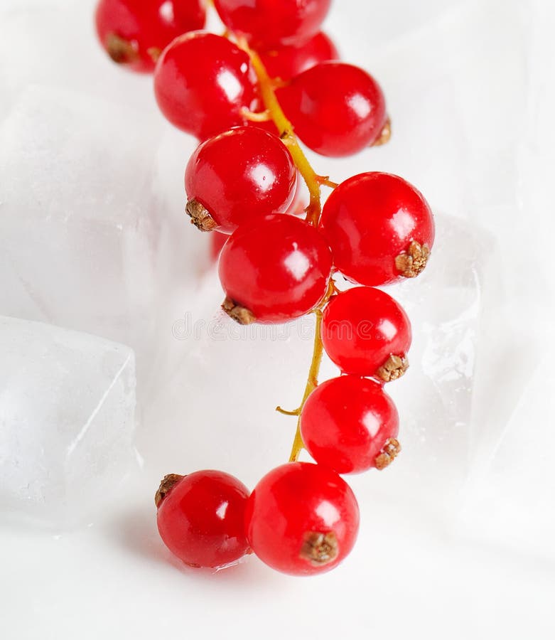 Groseille rouge photo stock. Image du vert, gourmet, mûr - 10395064