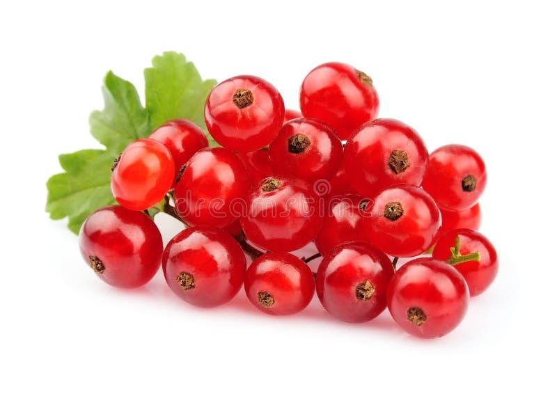 Groseille rouge image stock. Image du nature, groupe - 33488045