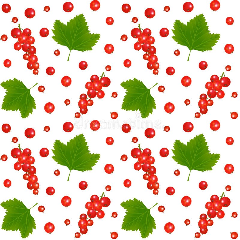 Groseille rouge illustration de vecteur. Illustration du baie - 43456874