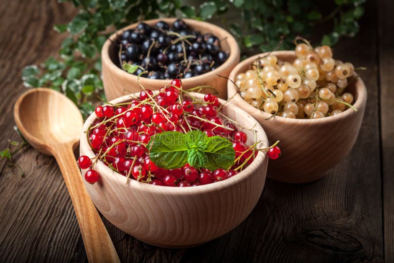 Groseille Rouge, Cassis, Fruit De Groseille Blanche Photo stock - Image ...