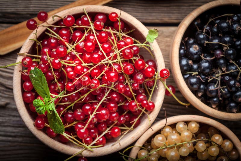 Groseille Rouge, Cassis, Fruit De Groseille Blanche Image stock - Image ...
