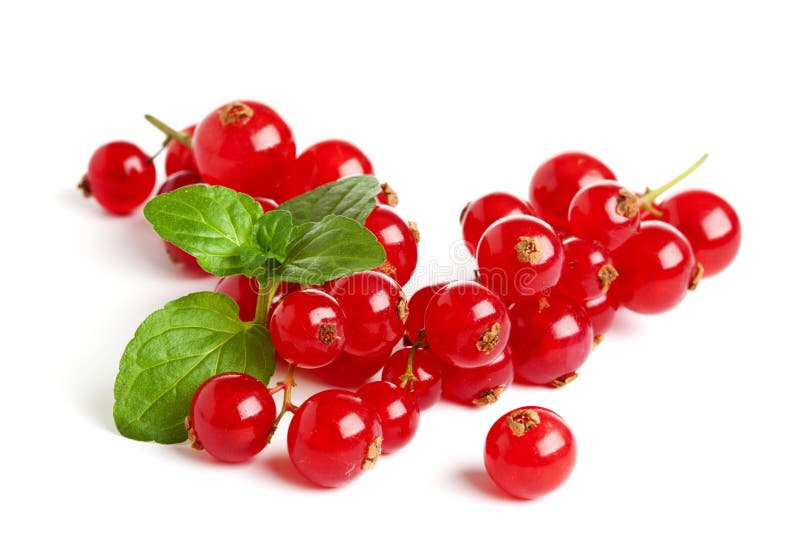 Groseille rouge photo stock. Image du manger, moisson - 5651192