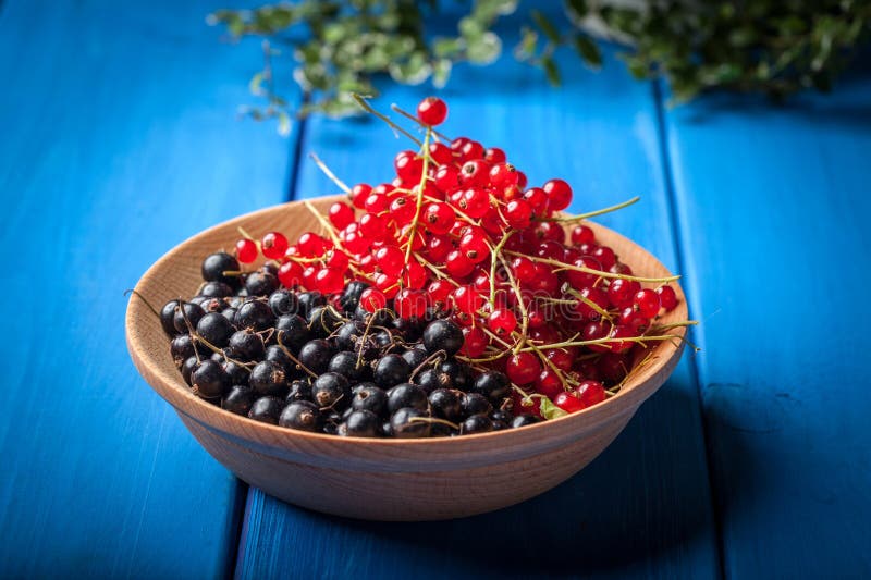 Groseille Rouge Et Cassis Sur La Table En Pierre Photo stock - Image du ...