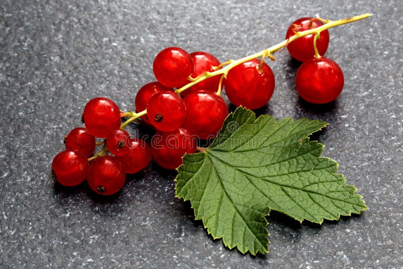 Groseille Rouge Et Cassis Sur La Table En Pierre Image stock - Image du ...