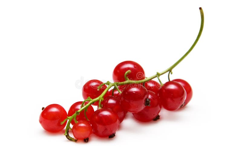 Groseilles rouges image stock. Image du aigre, fruits - 20035957