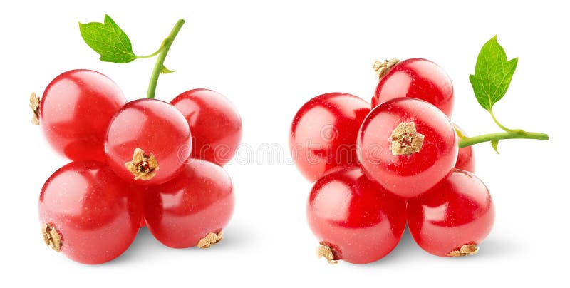 Groseilles rouges image stock. Image du texture, marché - 7654801