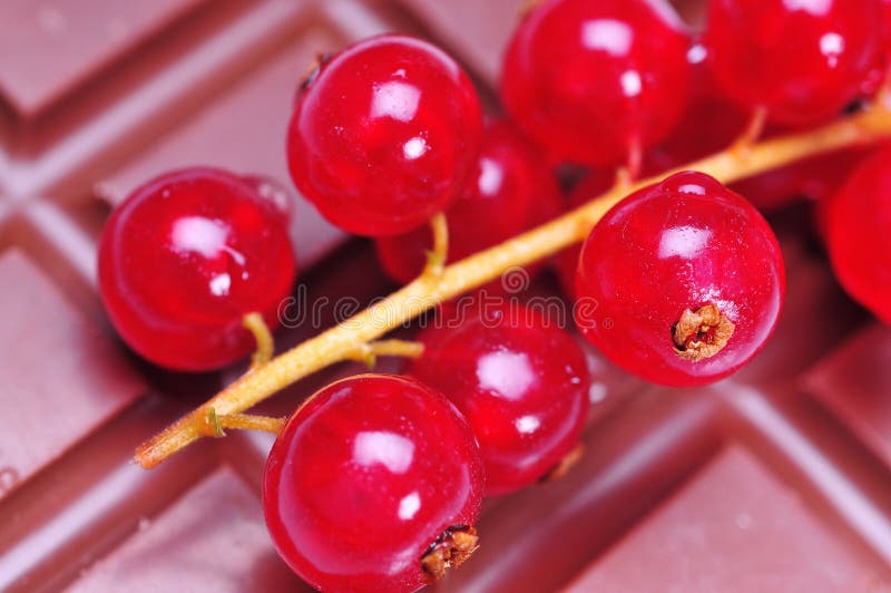 Groseilles rouges image stock. Image du texture, marché - 7654801