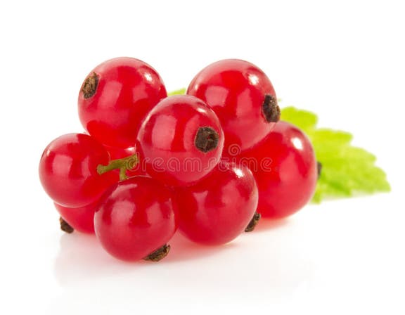 Groseilles Rouges Sur Le Blanc Image stock - Image du fruits, framboise ...