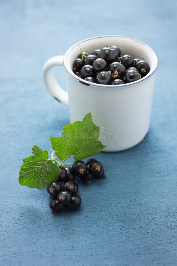Groselha foto de stock. Imagem de fruta, colheita, colheitas - 42229154