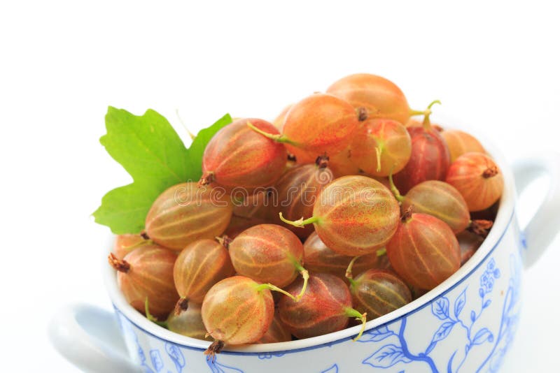 Groselha Isolada No Fundo Branco - Imagem Imagem de Stock - Imagem de filial, verde: 152291405