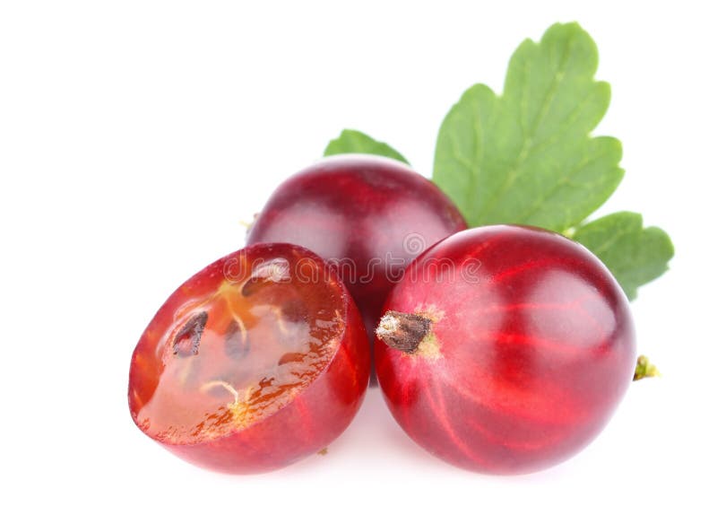 Groselha Madura Com Folha Verde Imagem de Stock - Imagem de vitaminas ...