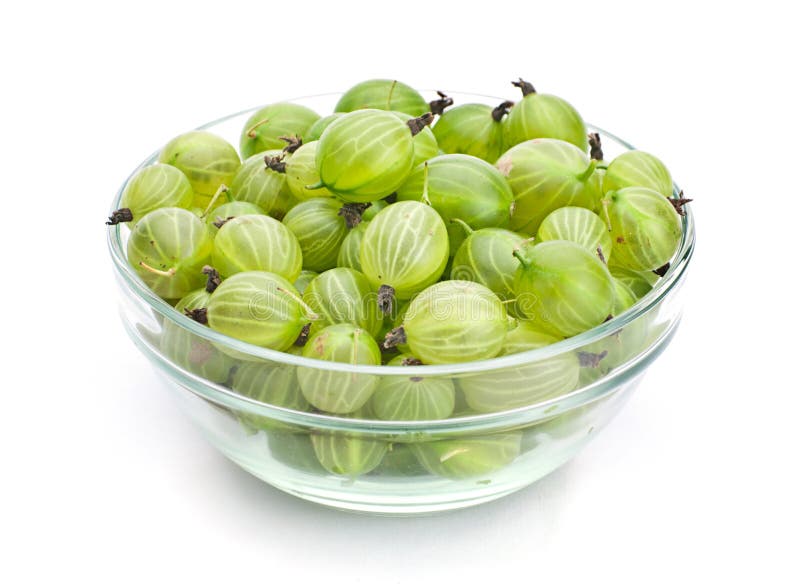 Grosella espinosa verde imagen de archivo. Imagen de baya - 15906419