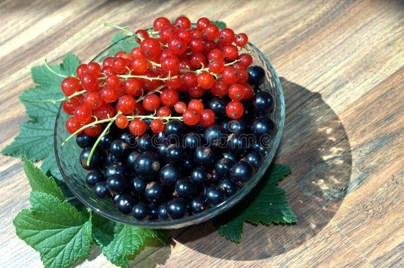 Grosella Negra Y Pasas Rojas Imagen de archivo - Imagen de negro, fruta ...