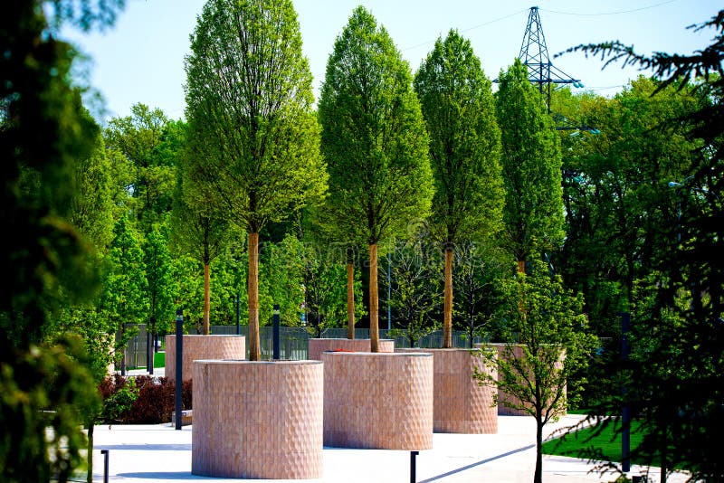 Grote Bomen in Ronde Stenen Tuinpotten in Het Moderne Openbare Park ...