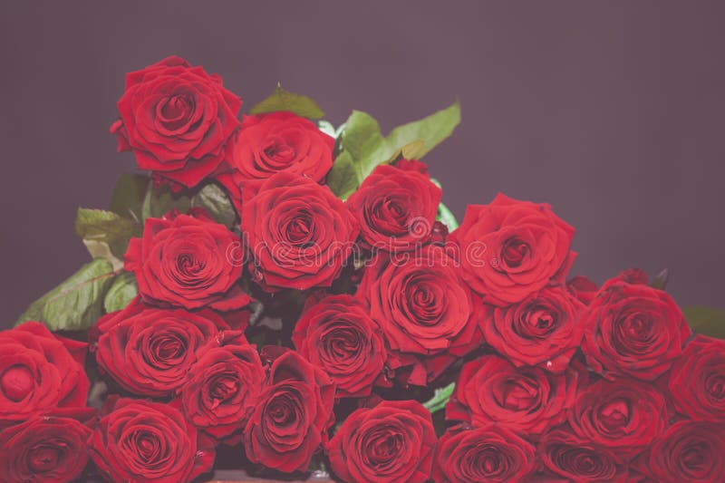 Grote Bos Van Rode Rozen Gestemde Foto Groetkaart, De Dag Van Valentine ...