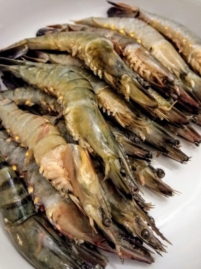 Grote garnalen stock afbeelding. Image of plaat, restaurant - 140363003