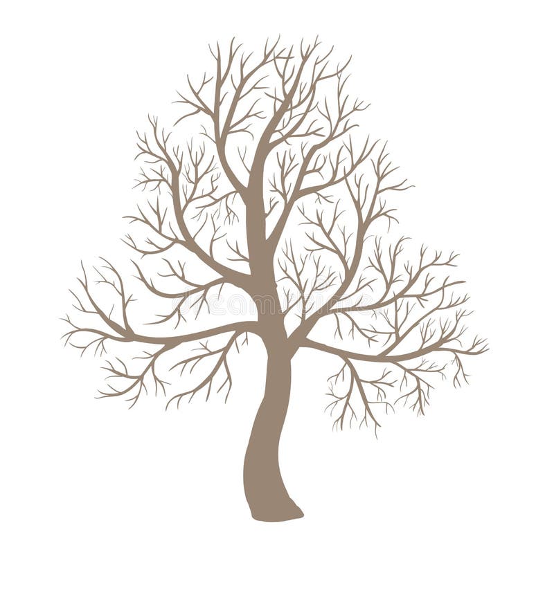 Boom vector illustratie. Illustration of boom, bladloos - 23188328
