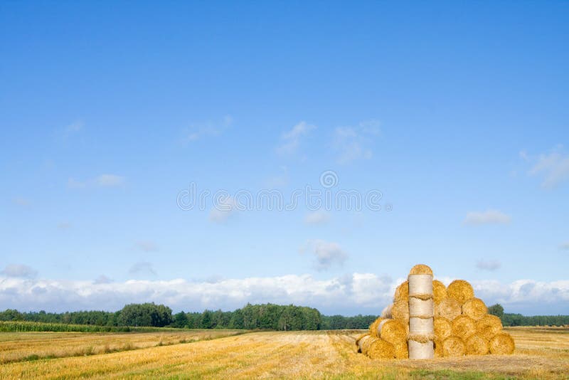 Grote Ronde Balen Van Stro in De Weide. Stock Foto - Image of gerst ...