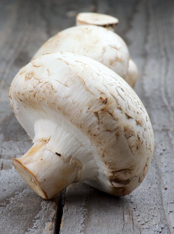 Grote Ruwe Champignons stock foto. Image of groot, achtergrond - 40657212