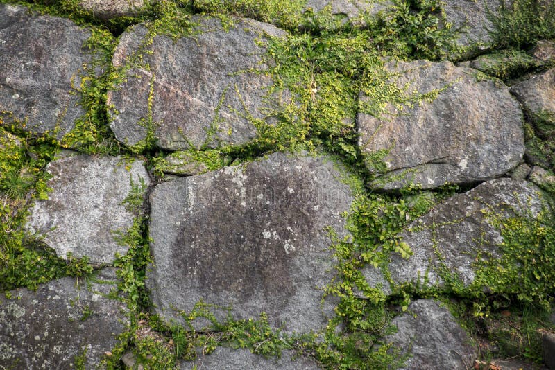 - grote steen - stock afbeelding. Image of buitenkant - 70845949